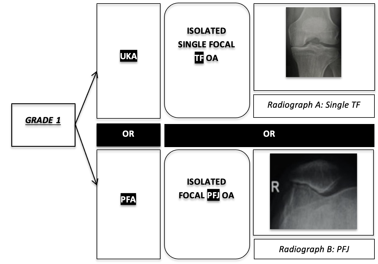 KOGS Flowchart - Dr CR Oosthuizen